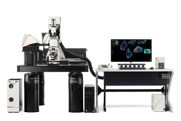 SP8 DIVE共聚焦显微镜-共聚焦显微镜厂家批发-北京悦昌行科技有限公司